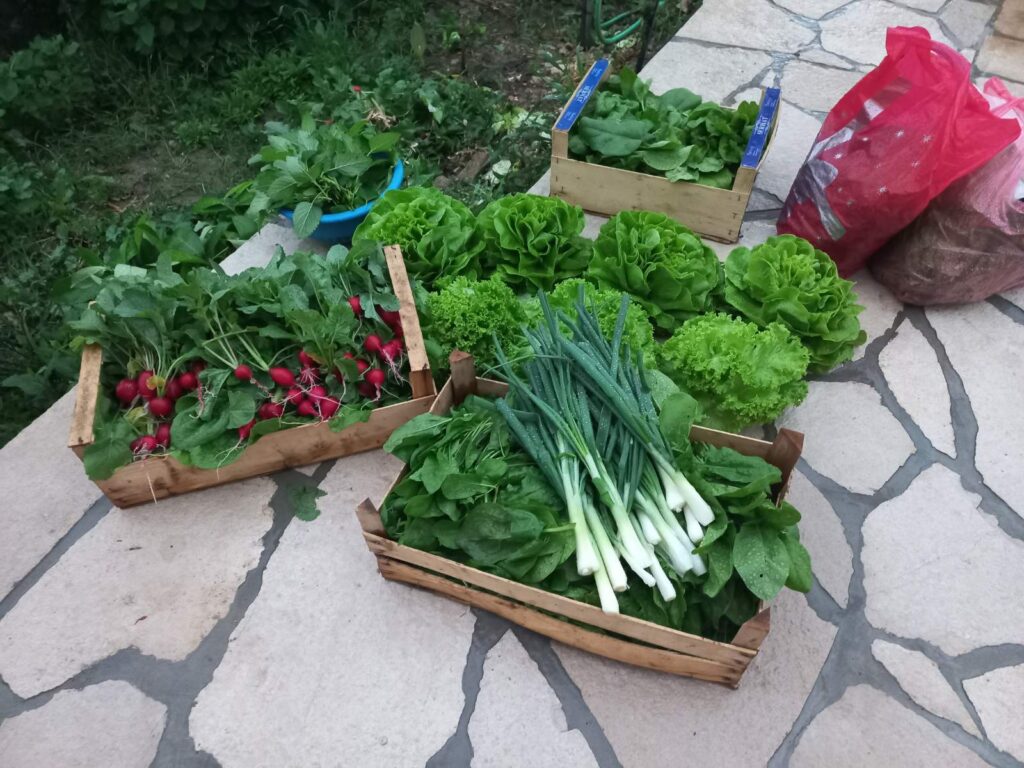 Nermina realized the significance and importance of community in Mostar ...